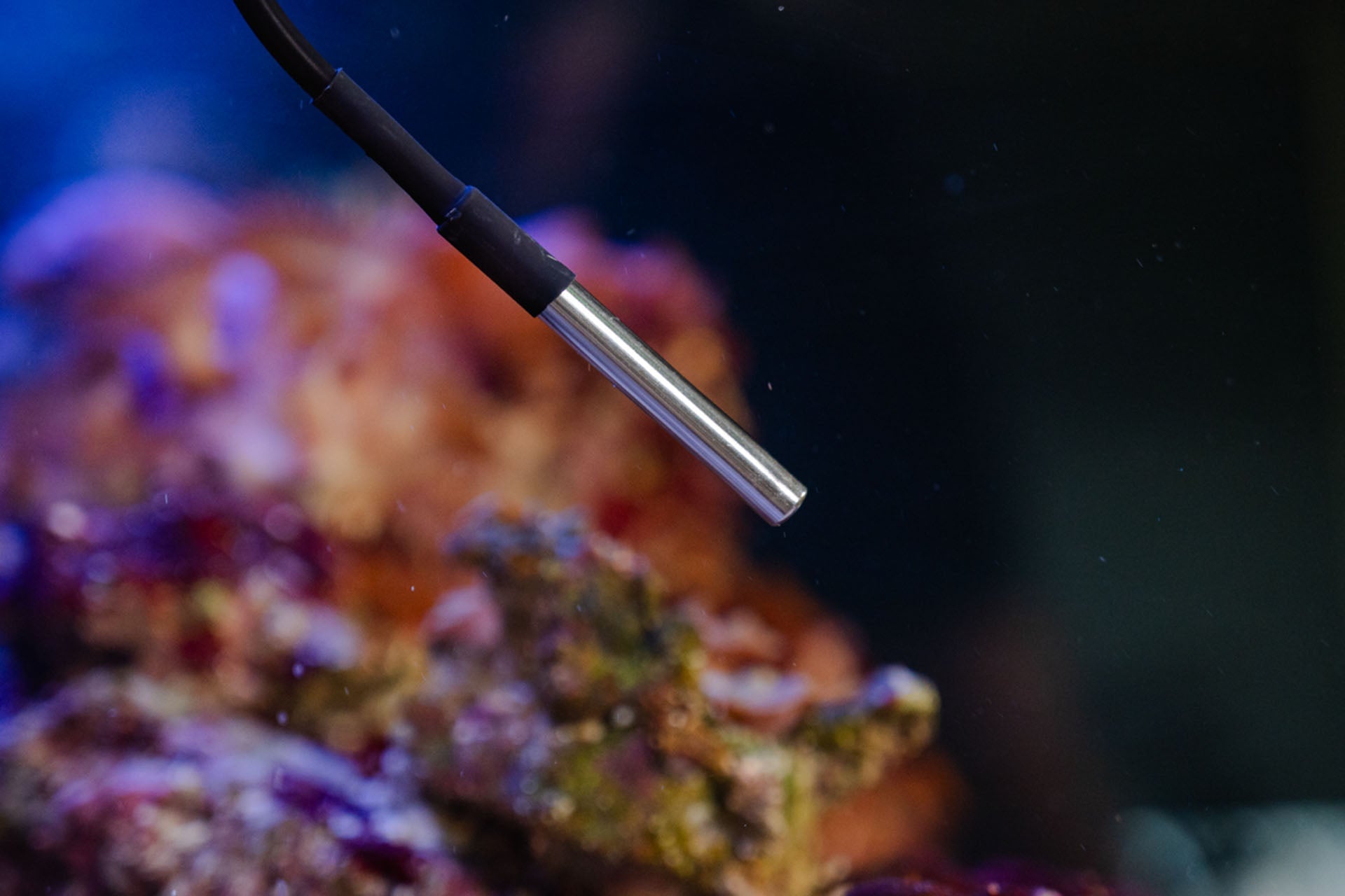 Water Temperature Monitoring - Shelly Europe