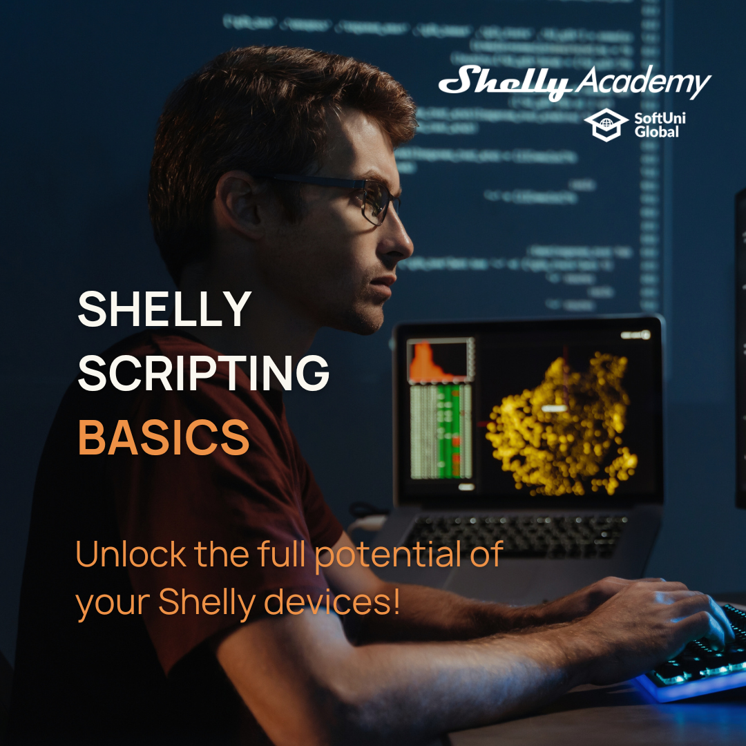 Shelly Scritpting Basics Kurs - Shelly Europe